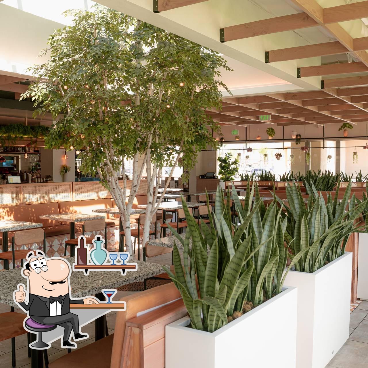 INI Ristorante, Fountain Valley - Restaurant menu, prices and reviews